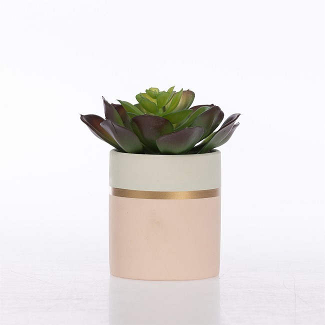 Artificial Plants - Everlasting Ava Succulent In Coral Ceramic Pot