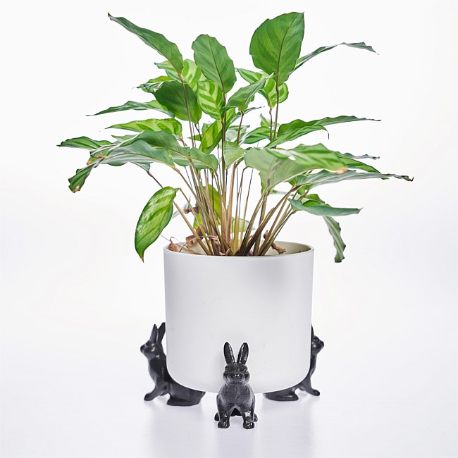 Outsidings Barron Rabbit Pot Feet 3-Piece